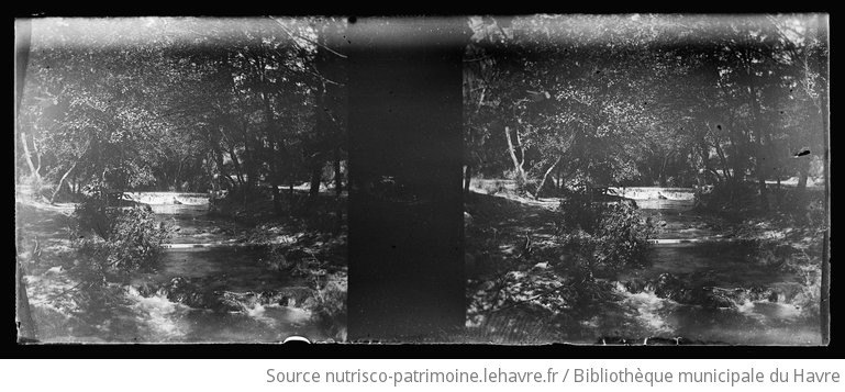 [L'Argens] | Nutrisco